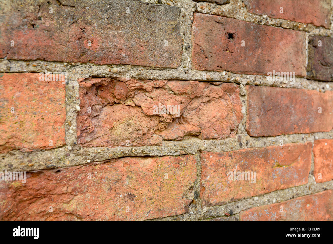 Brick wall in garden with bricks and mortar decaying diue to weathering ...