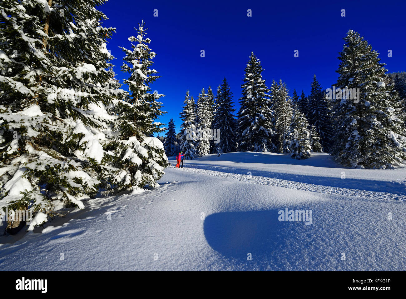 Walk through snow hi-res stock photography and images - Alamy