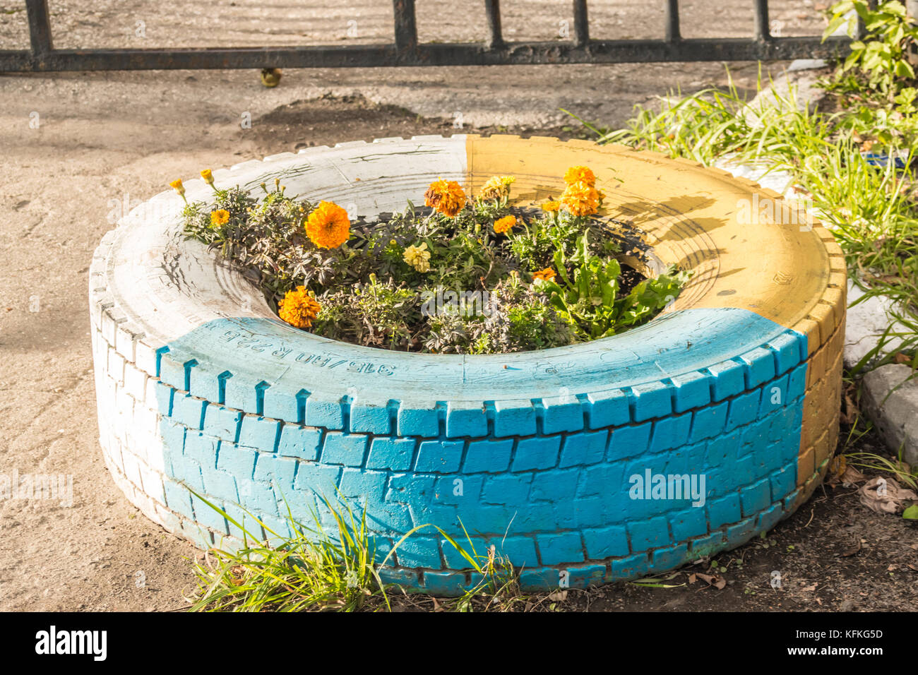 Urban flower bed of colorful car tires in the garden Stock Photo - Alamy