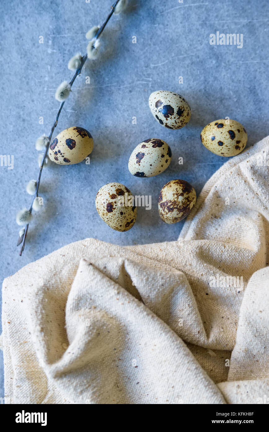 Quail eggs and willow branch with beige cloth Stock Photo - Alamy