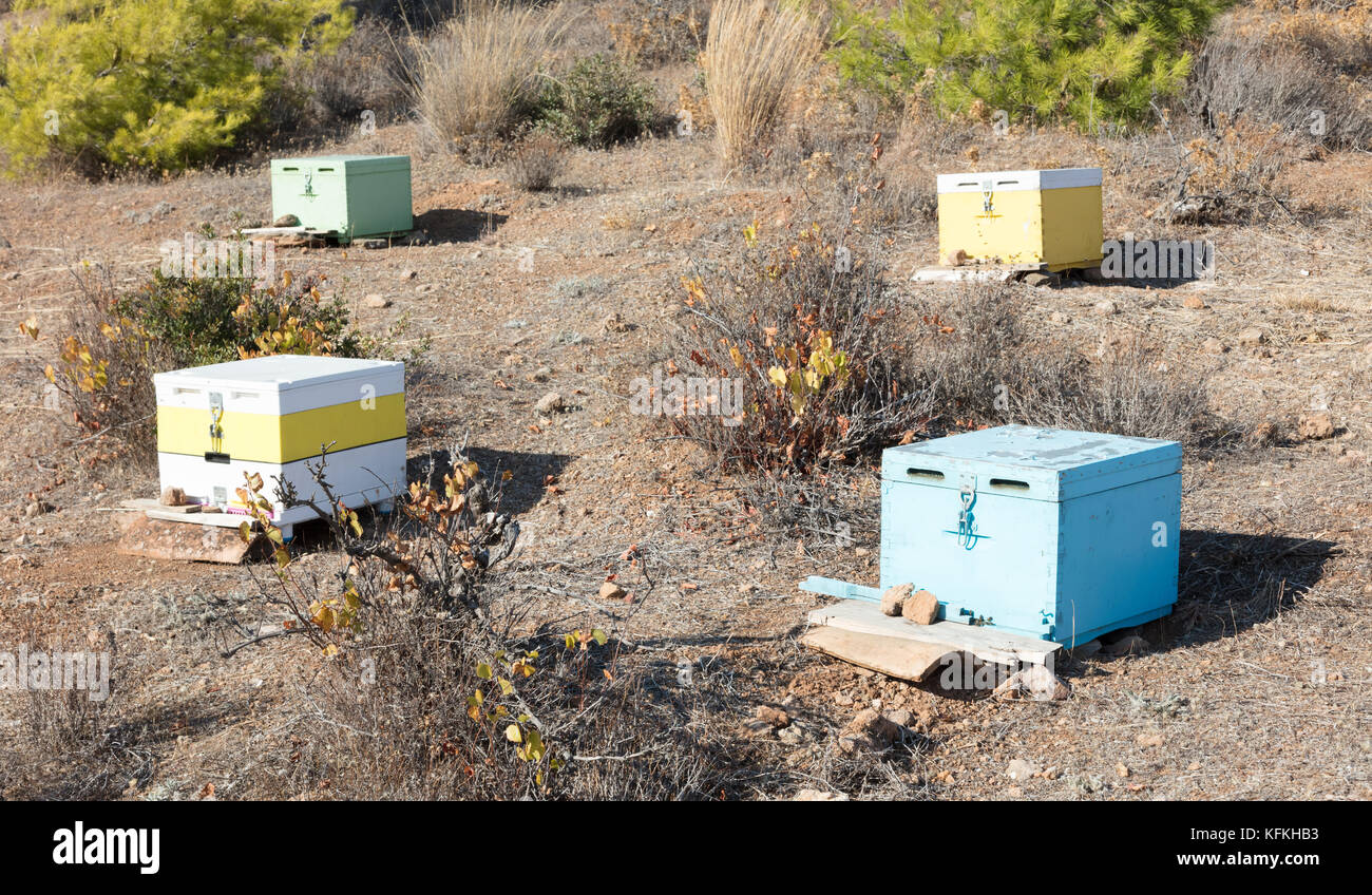 Beehive with bees in Greece - Selective focus Stock Photo - Alamy