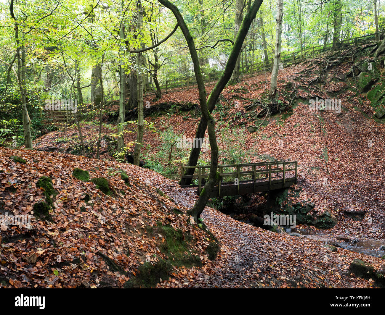 Birk Beck High Resolution Stock Photography and Images - Alamy