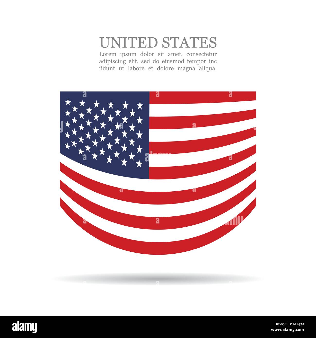 United States of America national flag vector icon Stock Vector Image ...