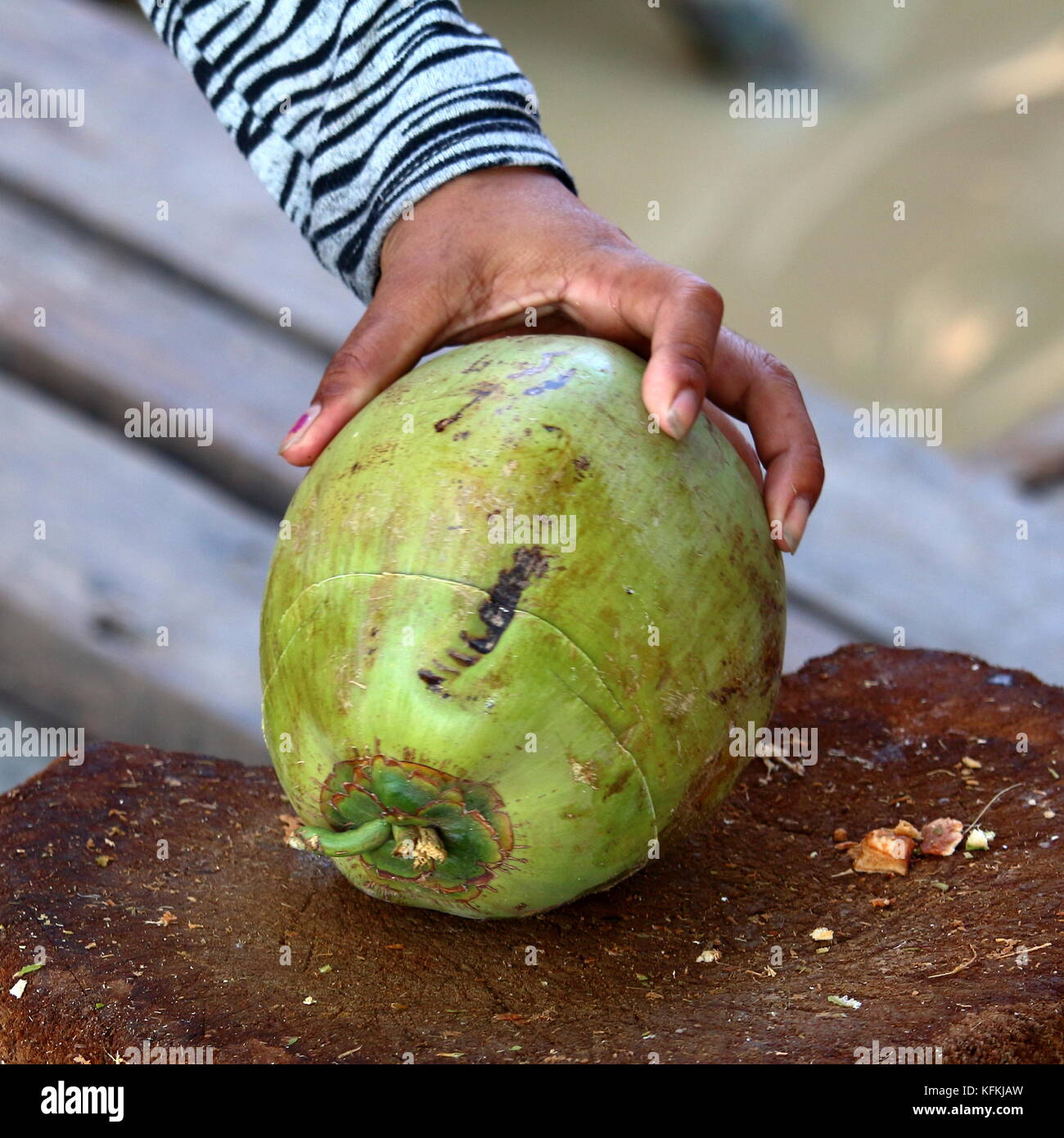 Coconut preparation: cutting Stock Photo - Alamy