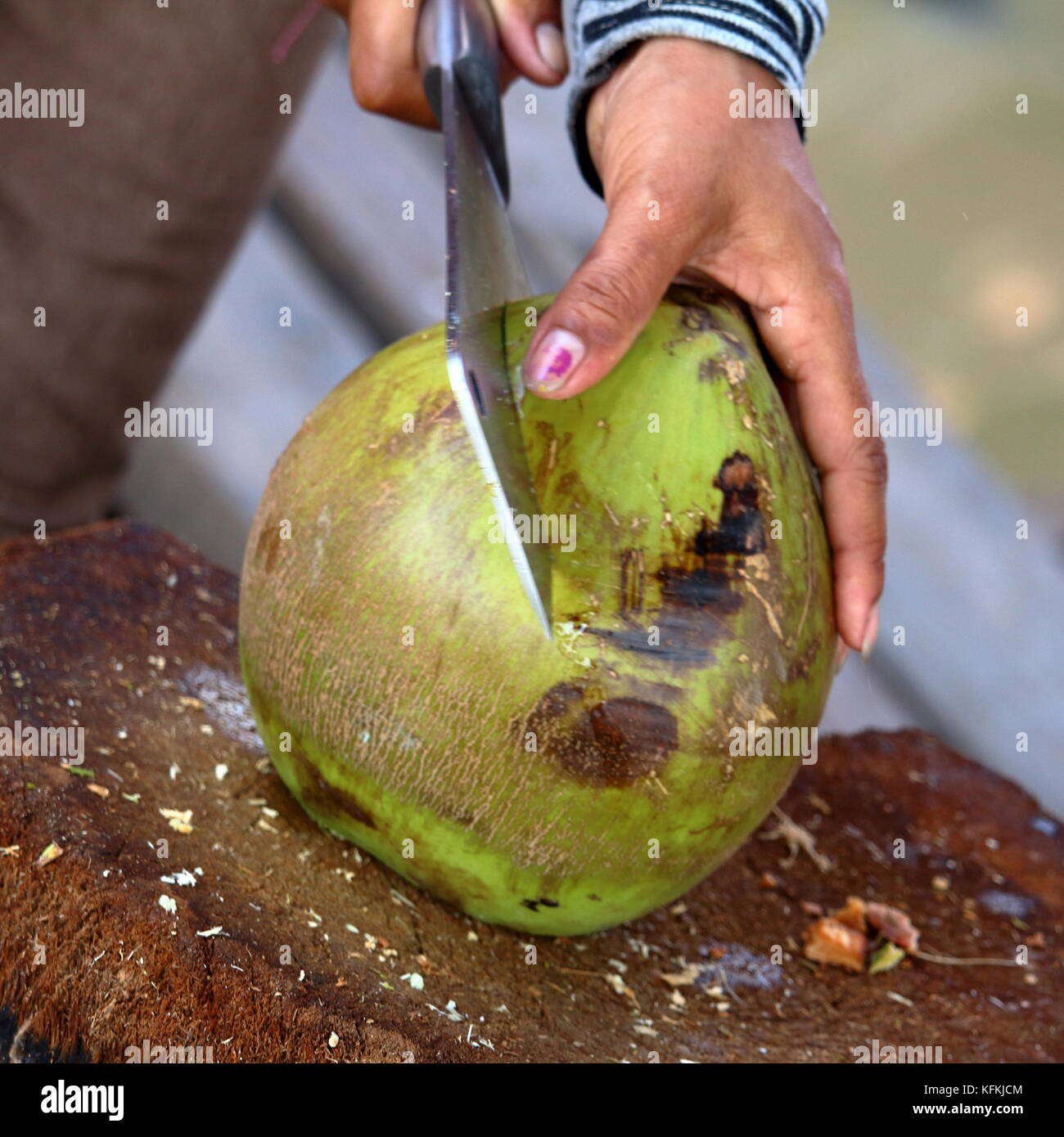 Coconut preparation: cutting Stock Photo - Alamy