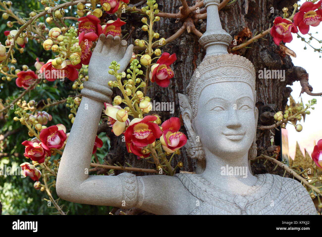 Buddha and the Bodhi tree Stock Photo - Alamy