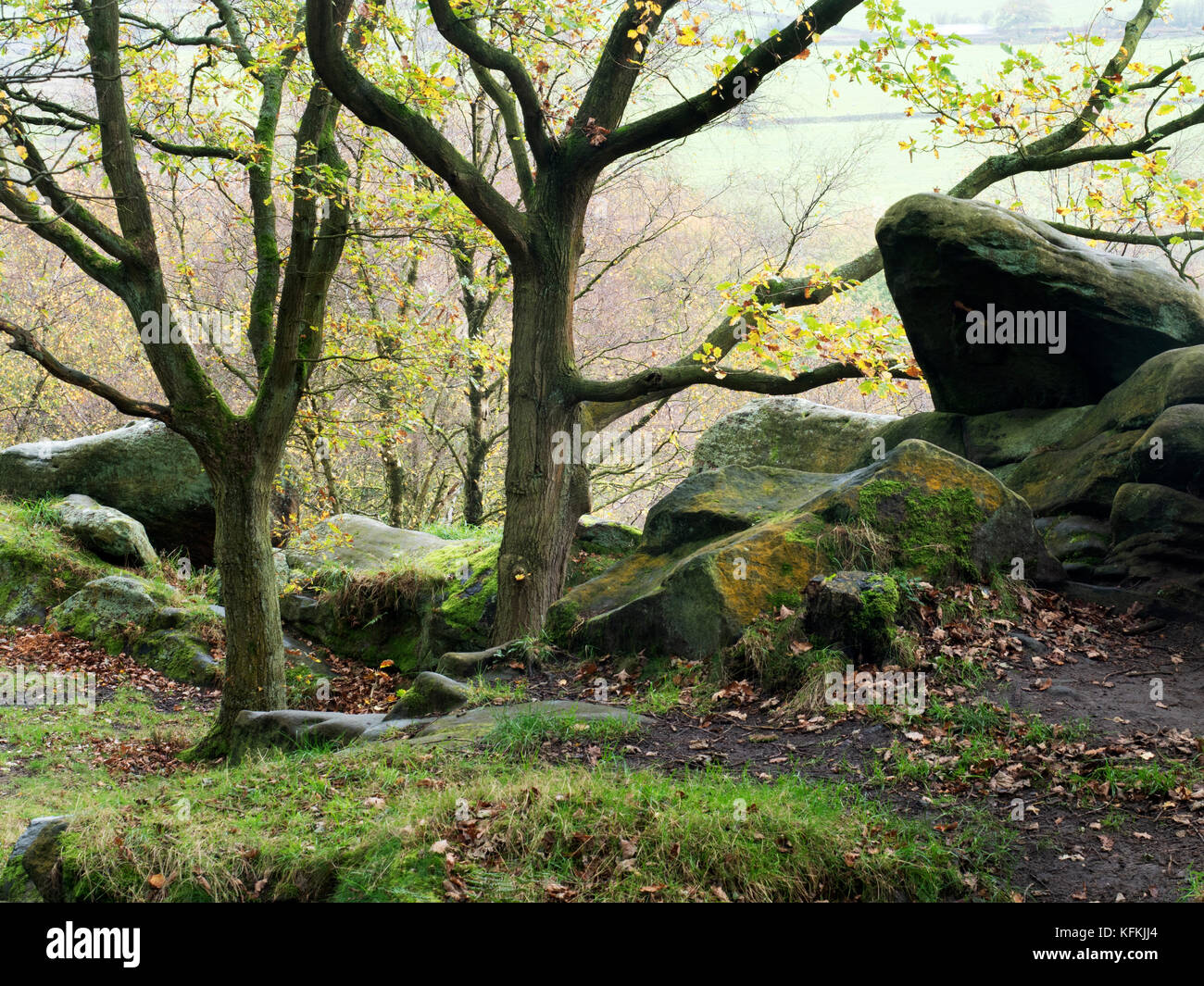 Moss crag hi-res stock photography and images - Alamy