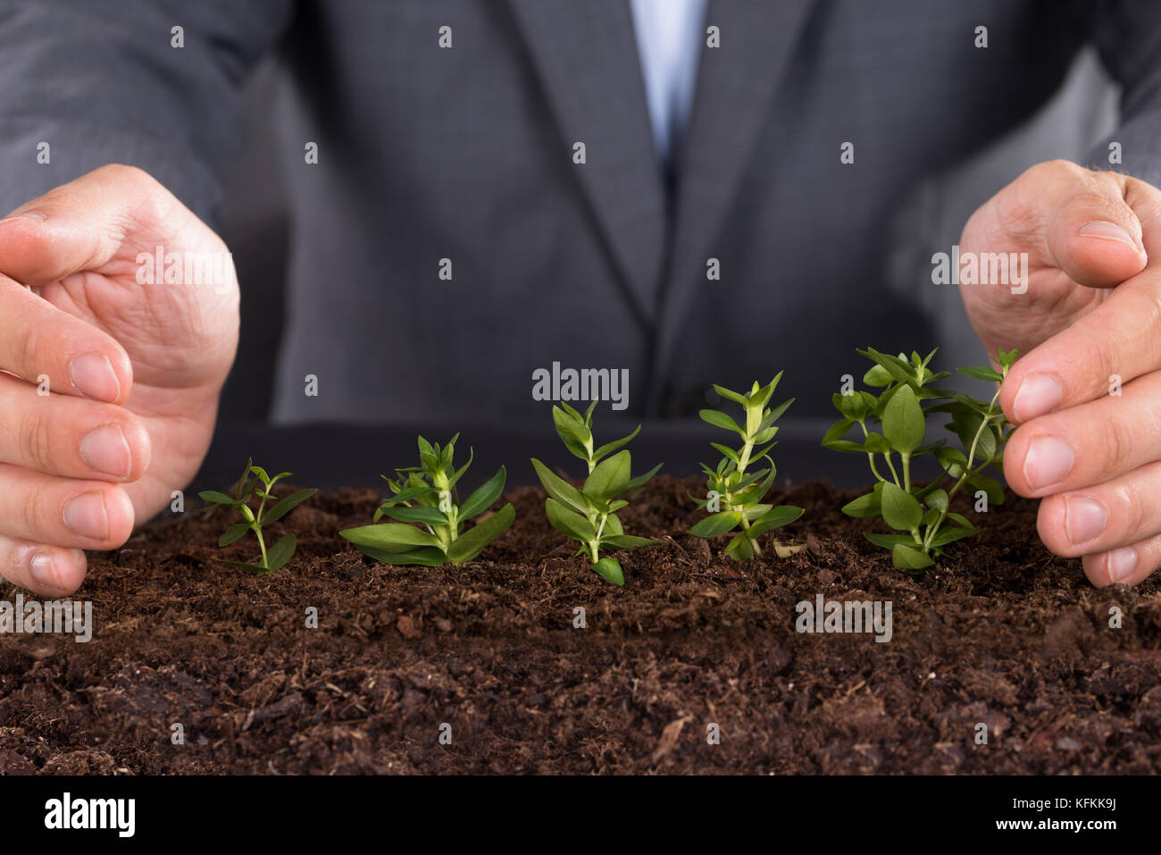 Protecting saplings hi-res stock photography and images - Alamy