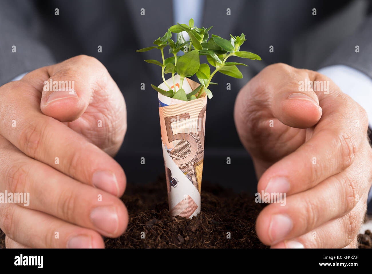 Businessman protecting small sapling growing from soil Stock Photo - Alamy