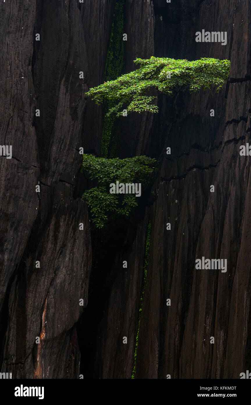 Yana hi-res stock photography and images - Alamy