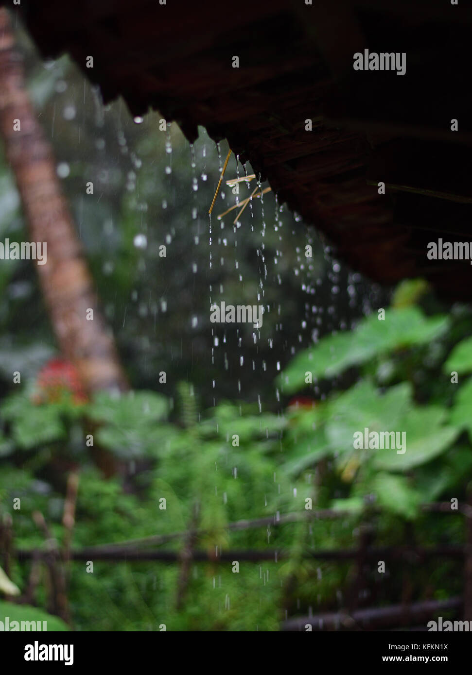 Rain drops falling hi-res stock photography and images - Alamy