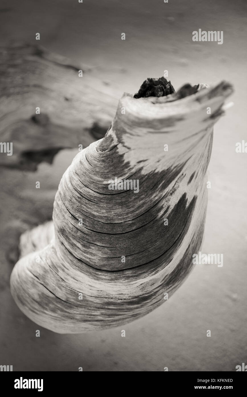 Maldives pattern hi-res stock photography and images - Alamy