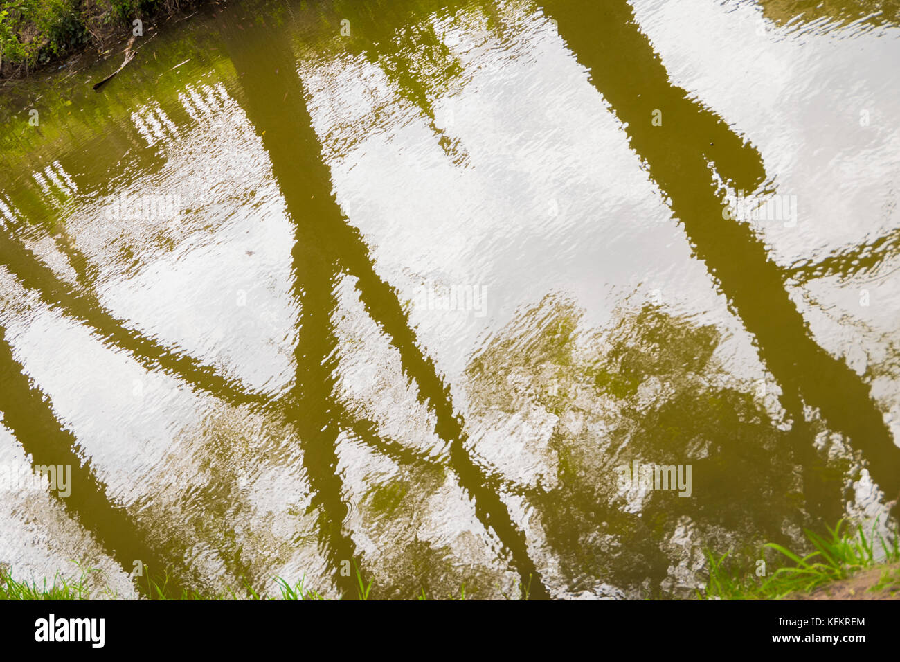 Reflections in the pond Stock Photo - Alamy