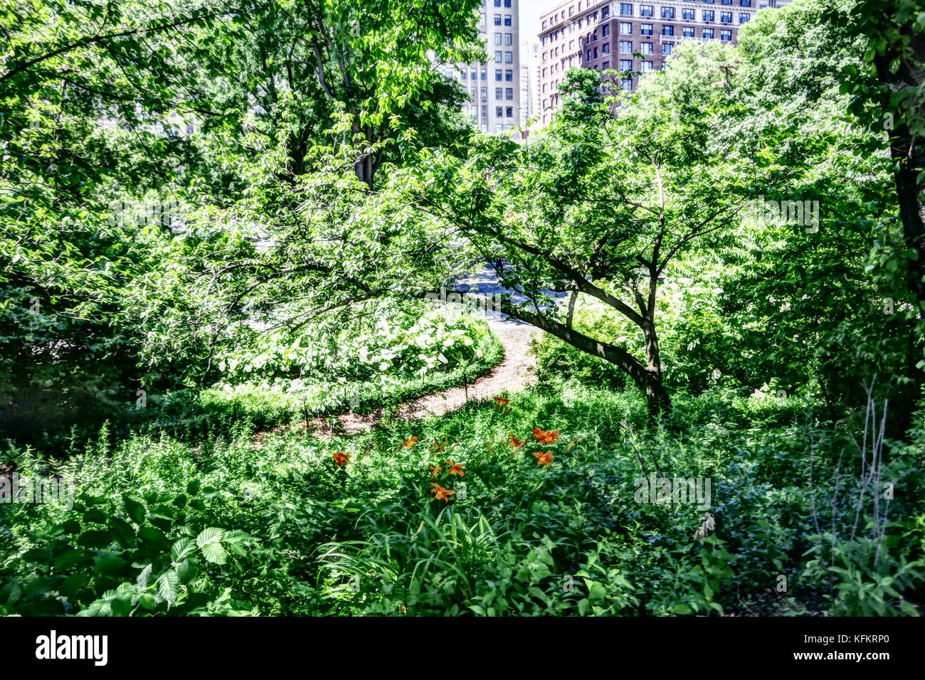 Hojas arboles vegetacion hi-res stock photography and images - Alamy