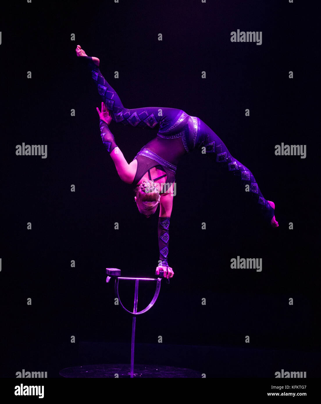 New York, USA. 29th Oct, 2017. New York, NY - October 29, 2017: Elayne ...