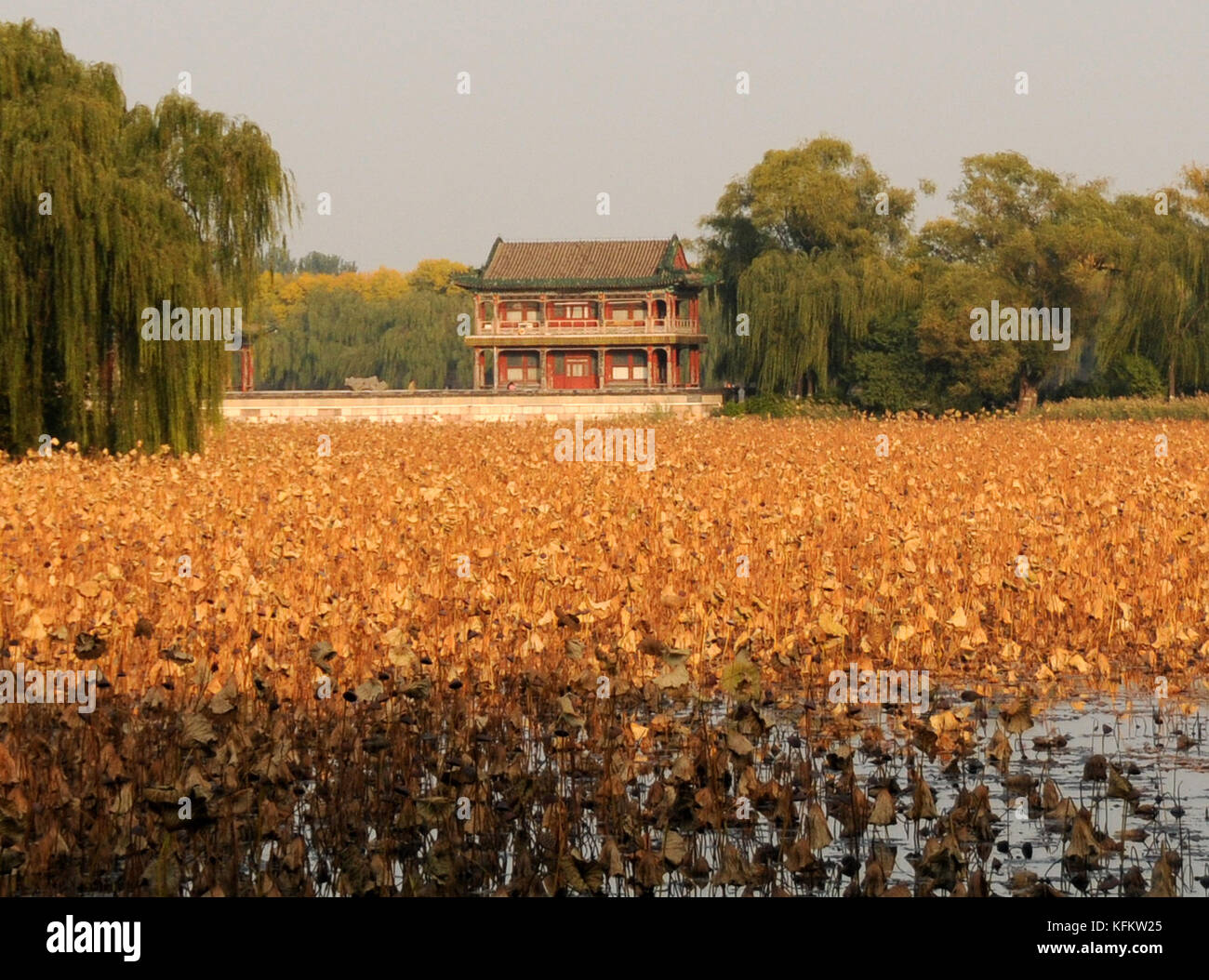 Beijin, Beijin, China. 30th Oct, 2017. Beijing, CHINA-October 2017 ...