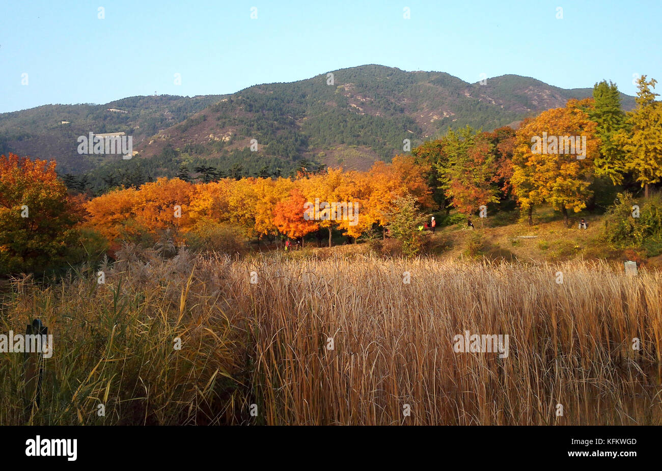 October 30, 2017 - Beijing, Beijing, China - Beijing, CHINA-October ...