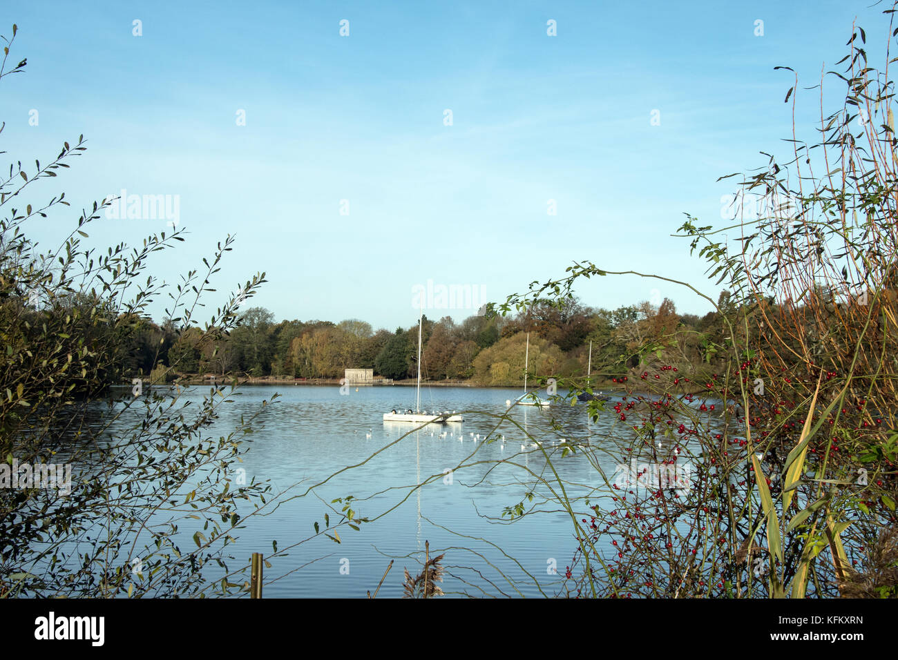 Mote Park, Maidstone, Kent UK a green flag tourist attraction on a ...