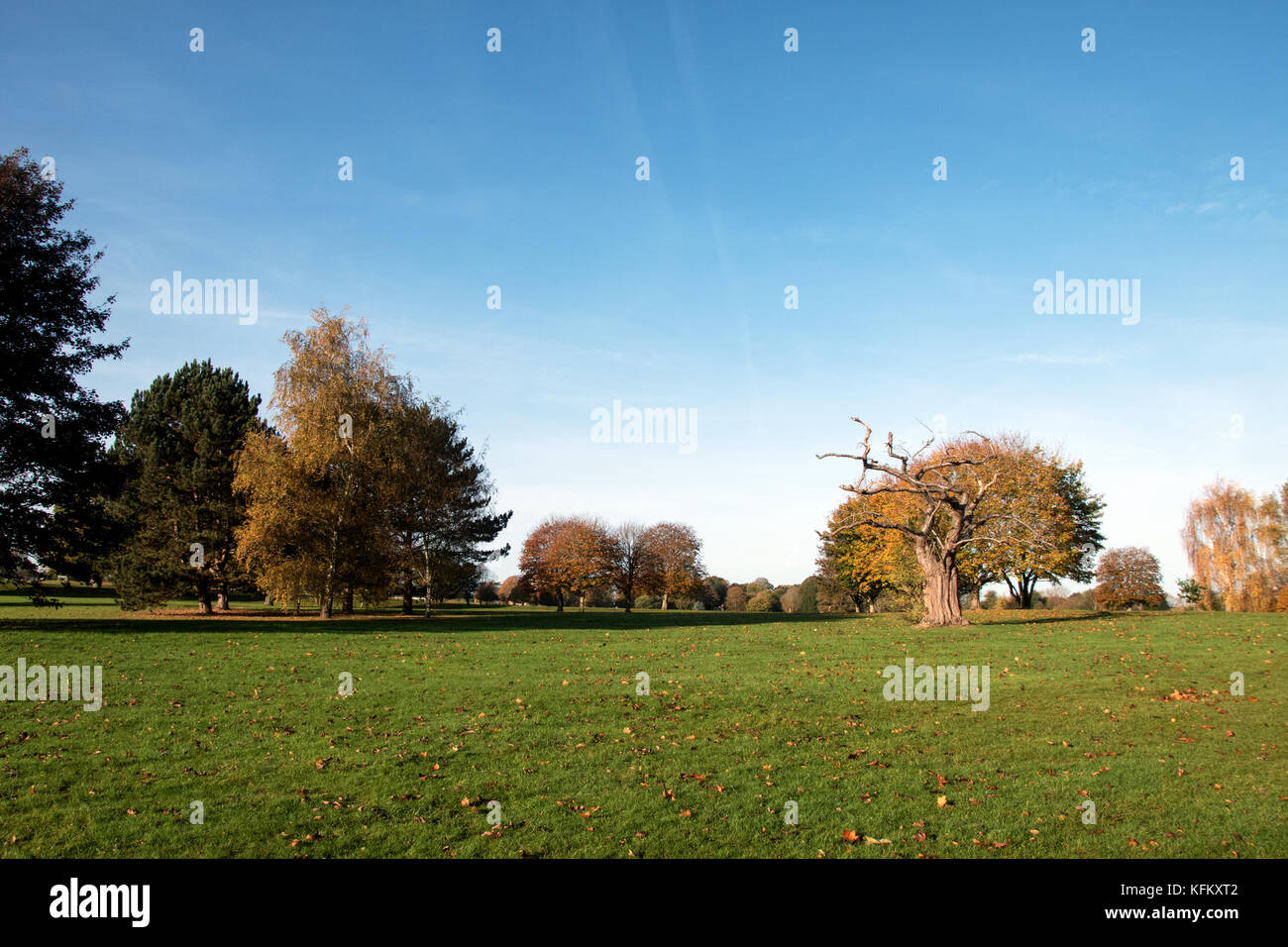 Mote Park, Maidstone, Kent UK a green flag tourist attraction on a ...