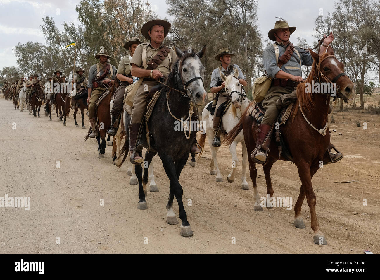 Australian Light Horse High Resolution Stock Photography and Images - Alamy