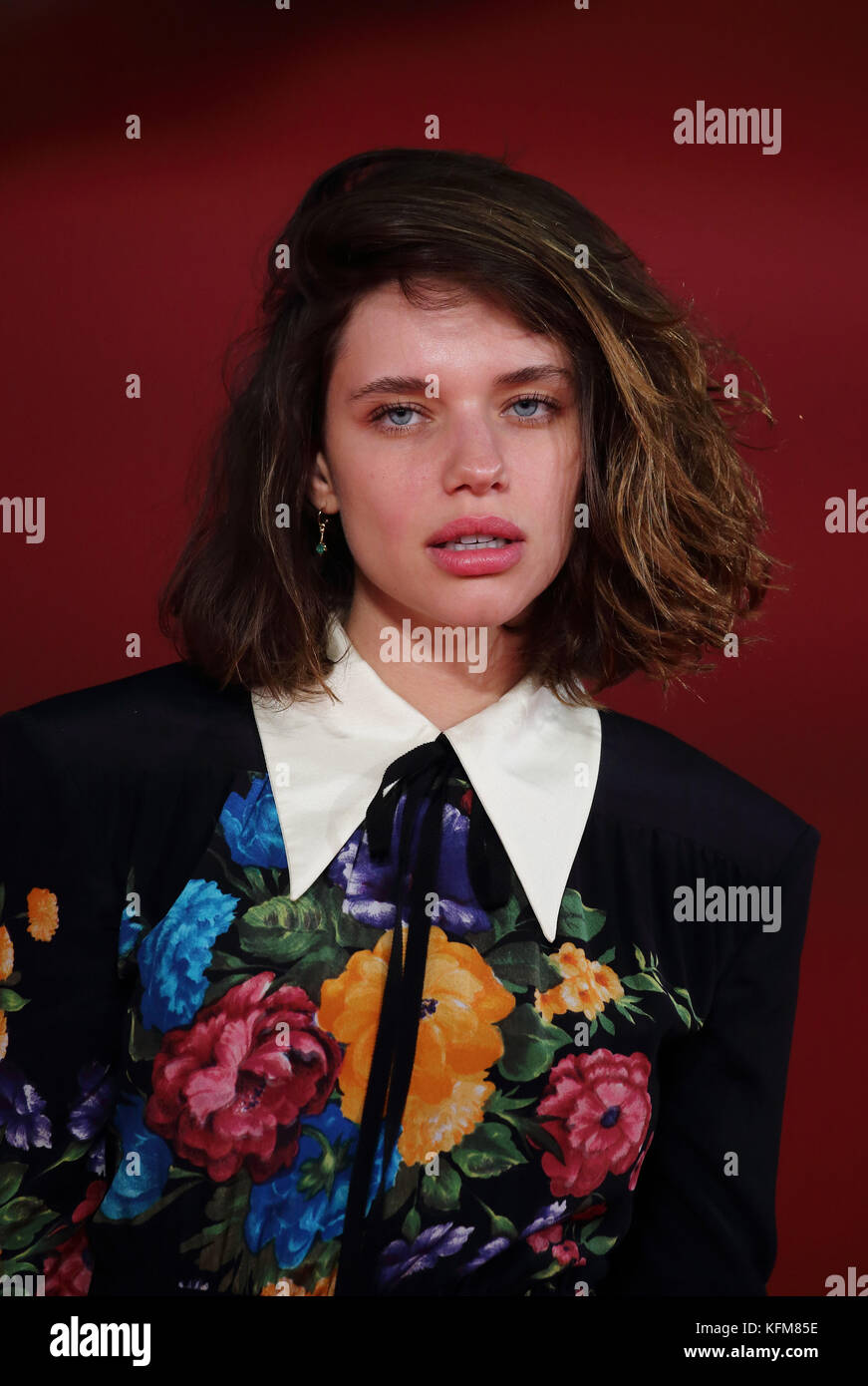 October 30, 2017 -Rome, Italy - Actors and guest on the red carpet of ...