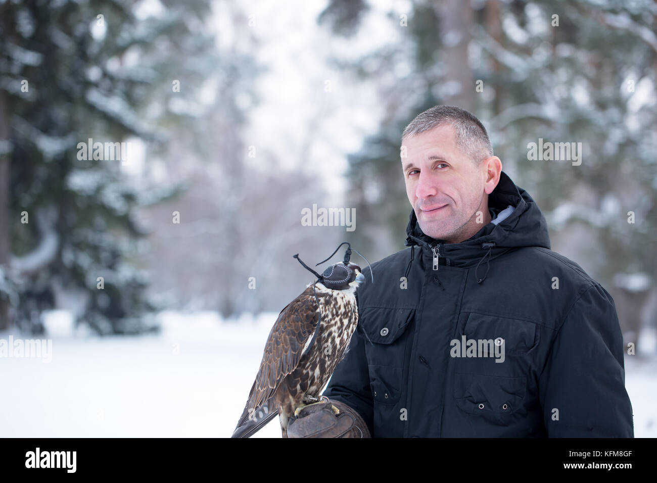 man with a falcon Stock Photo - Alamy