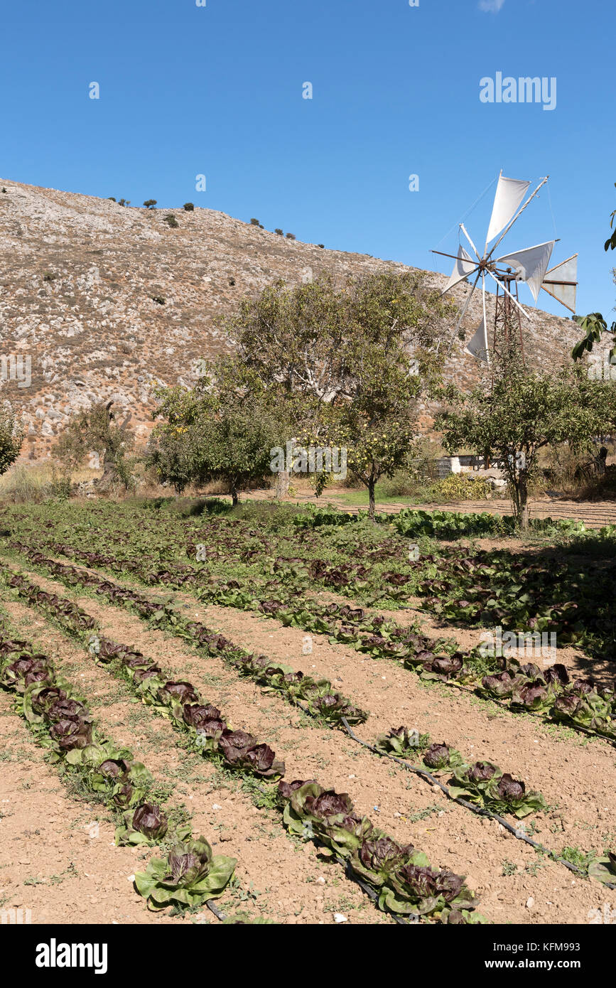 Windmill pumping water on farmland at Agios Georgios on the Lasithi ...