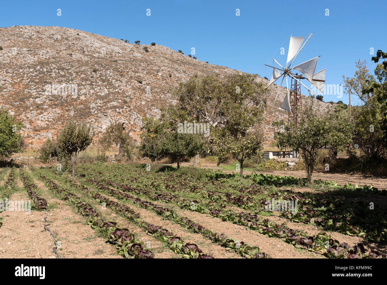 Windmill pumping water on farmland at Agios Georgios on the Lasithi ...