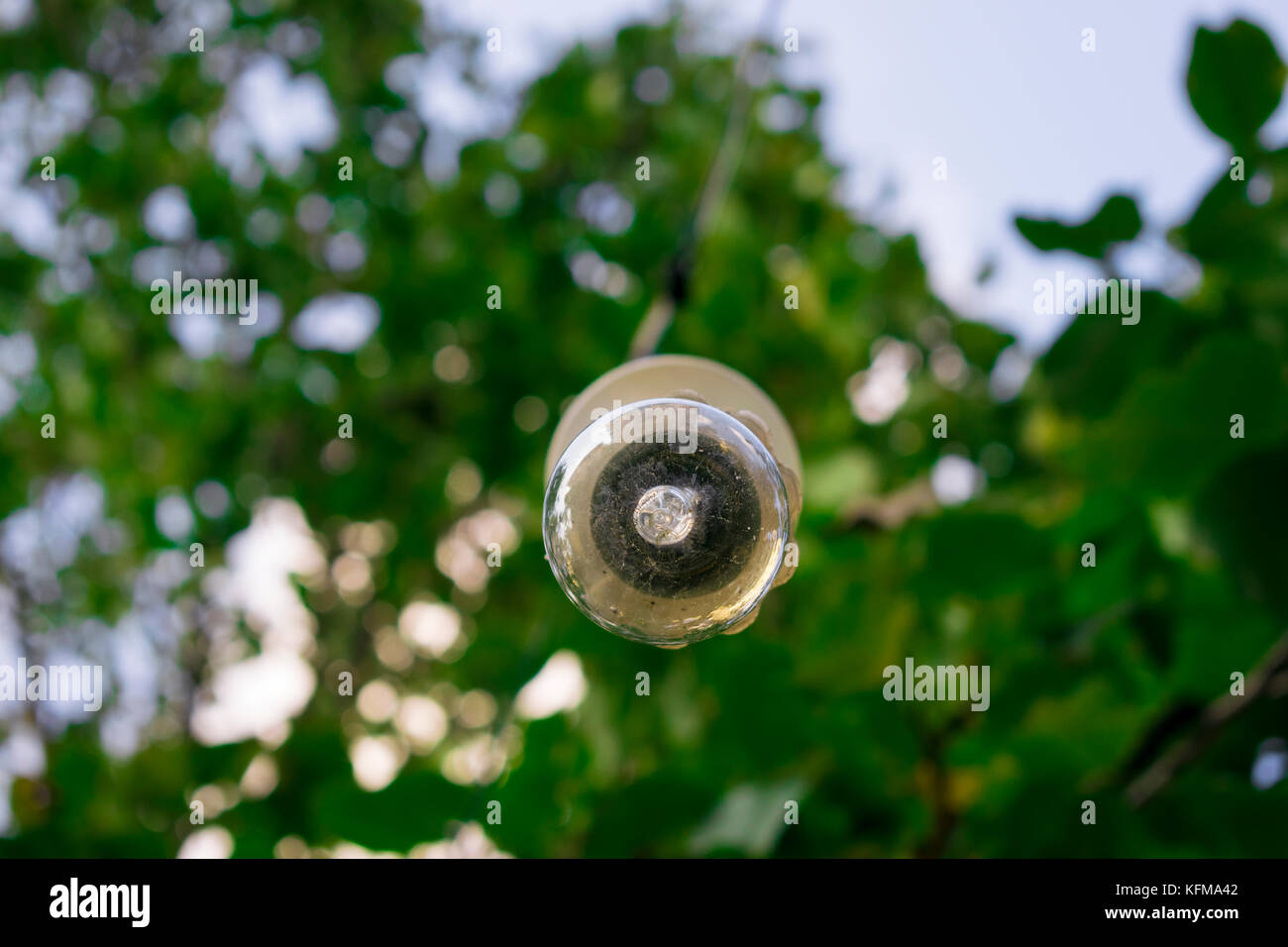 Light Bulb from bottom angle Stock Photo - Alamy