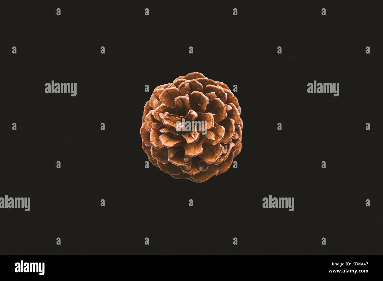 Pine cone from top view, isolated, black background Stock Photo - Alamy