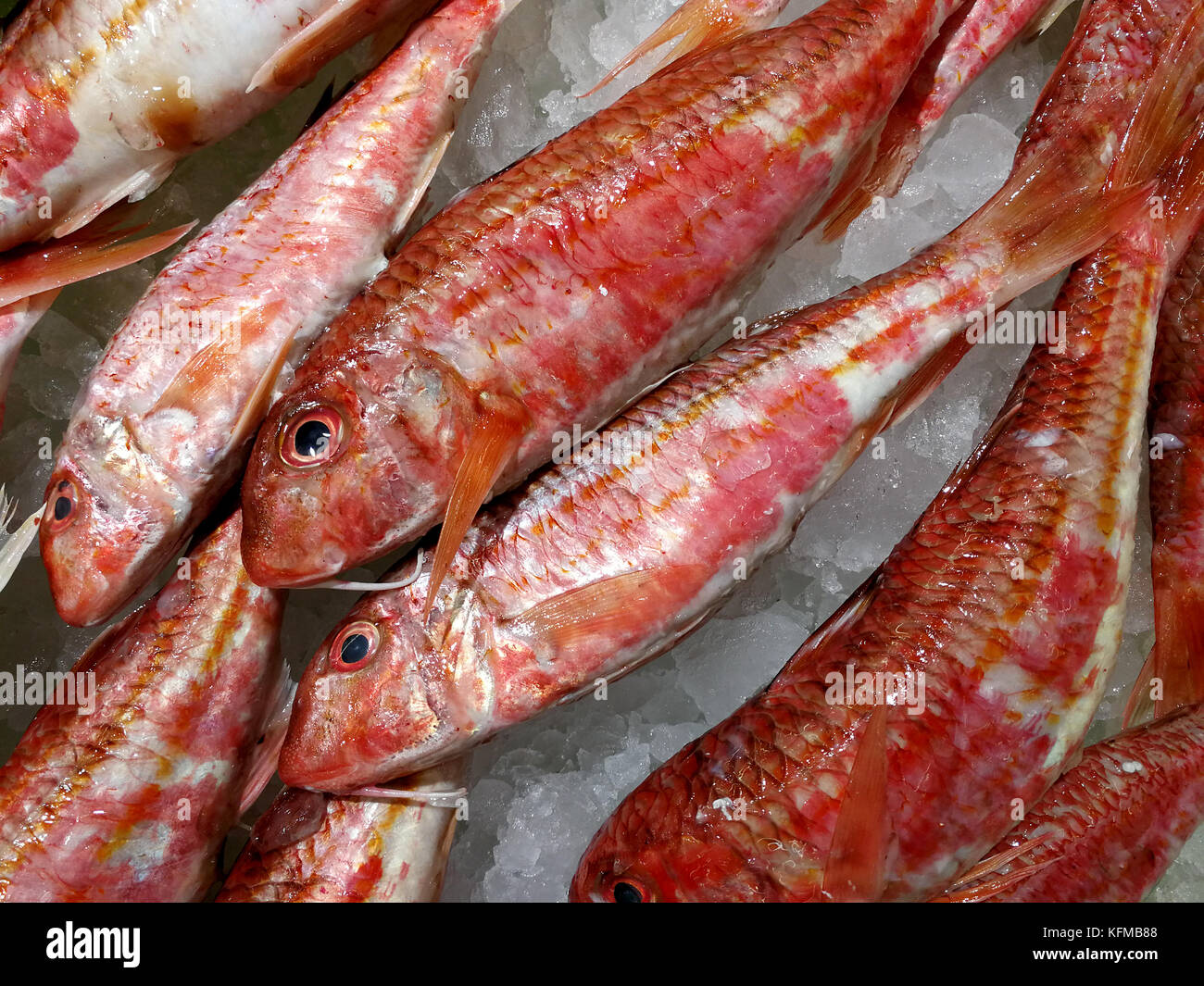 red mullet at market Stock Photo - Alamy