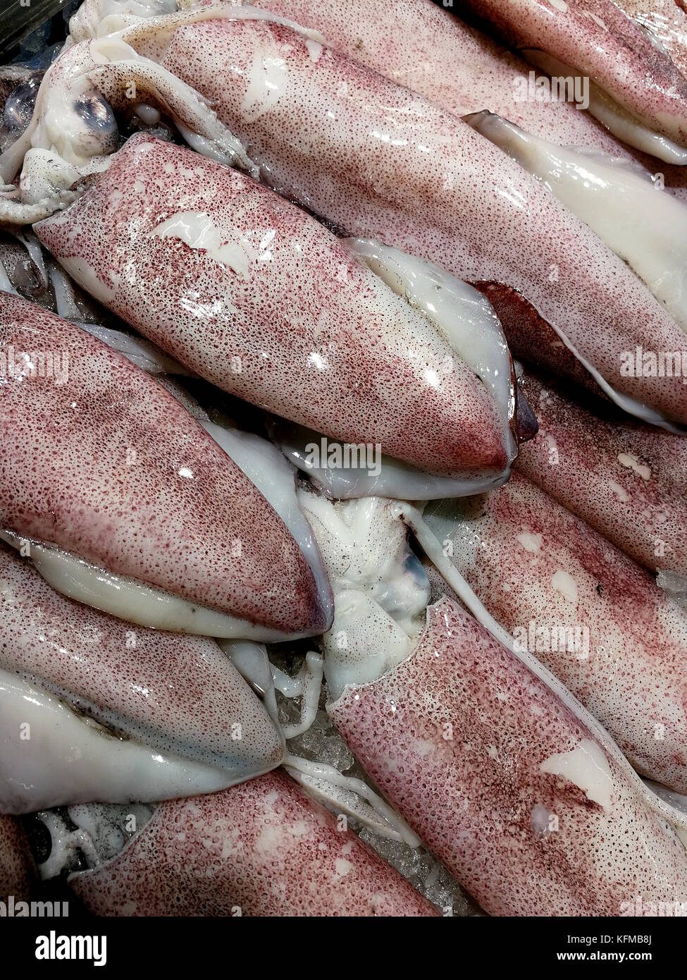 squid at market Stock Photo - Alamy