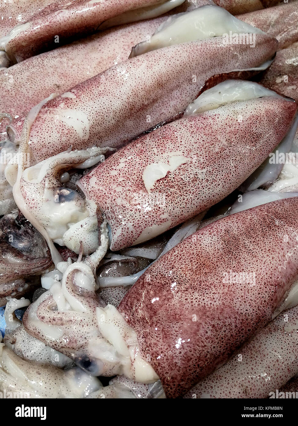 squid at market Stock Photo - Alamy