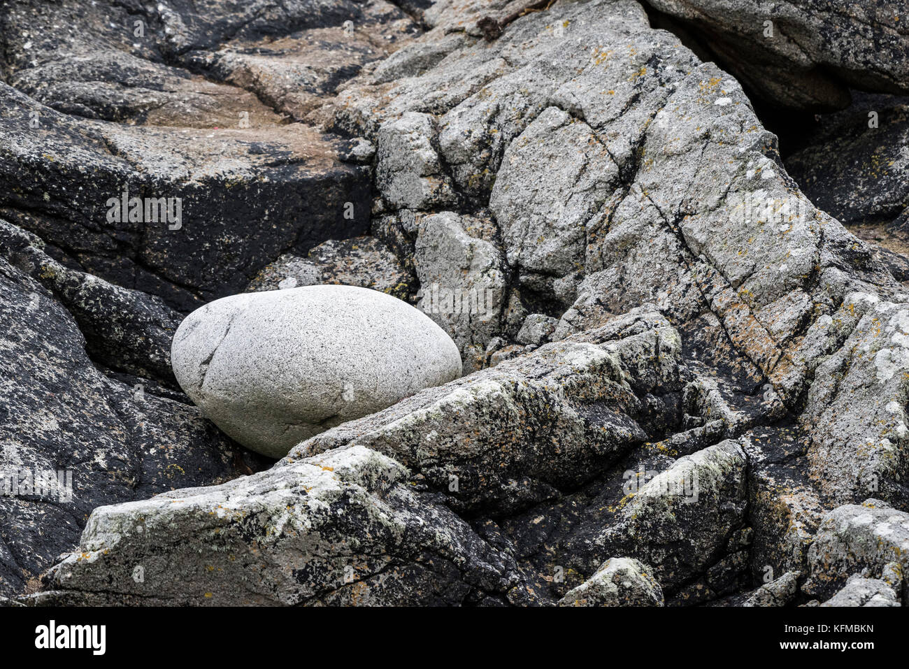 A large smooth rock deposited by wave action on a rock ledge at Porth ...