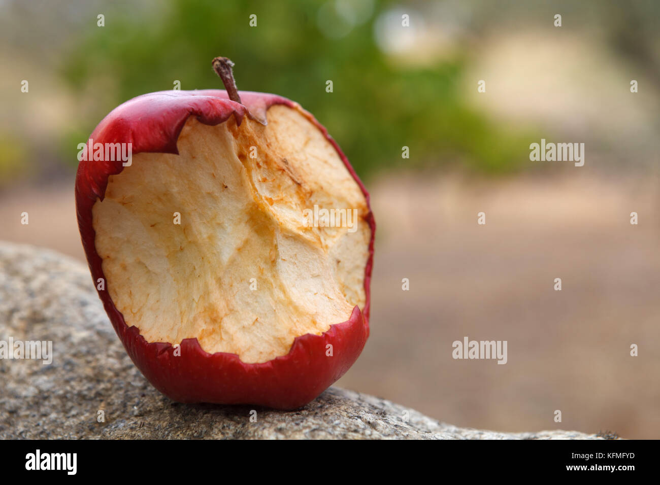 Bitten red apple on a stone in the field Stock Photo - Alamy