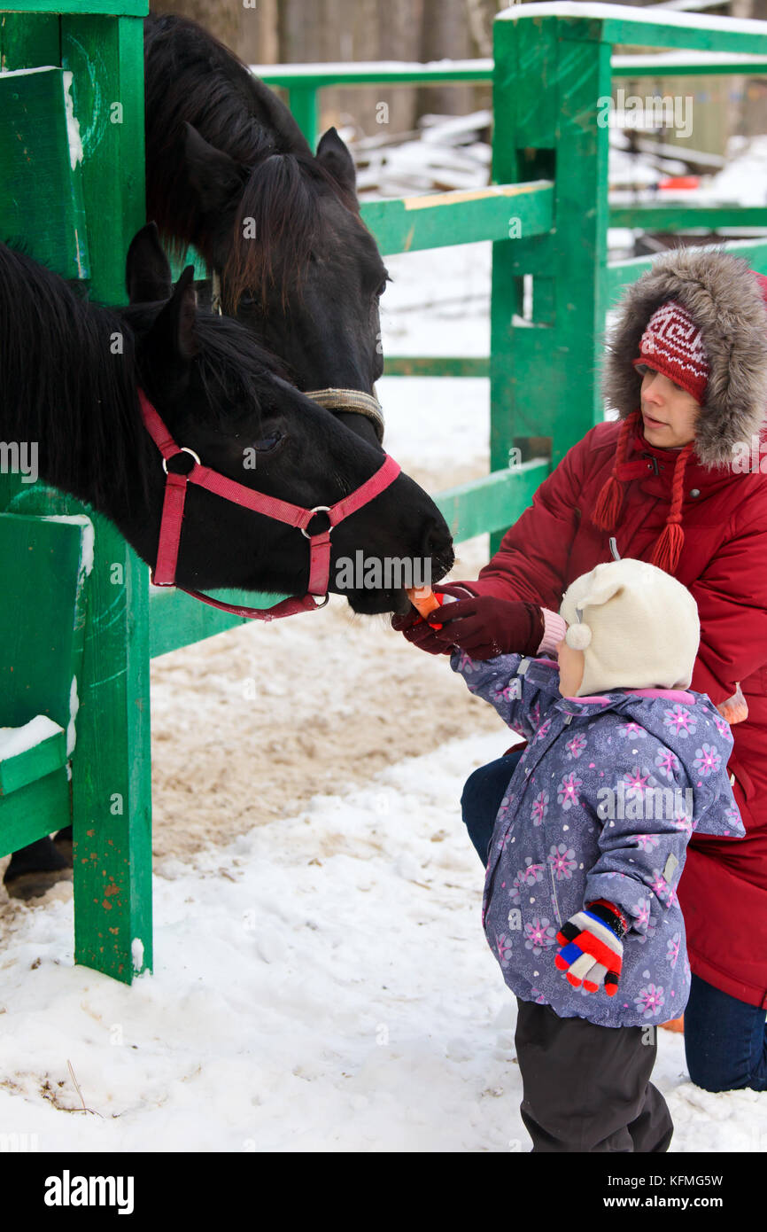Stable Girls Stock Photos & Stable Girls Stock Images - Alamy
