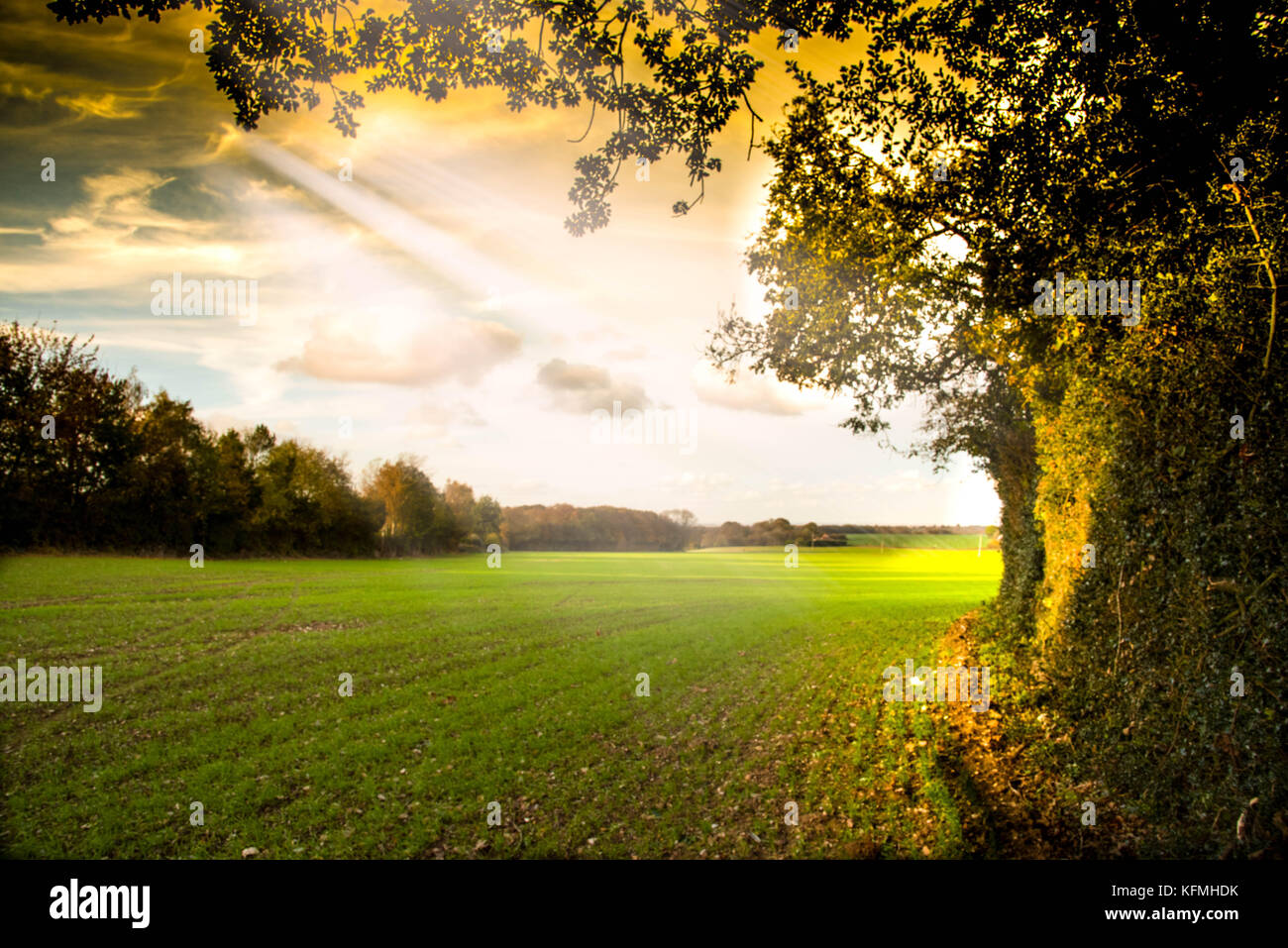 Farmers fields hi-res stock photography and images - Alamy