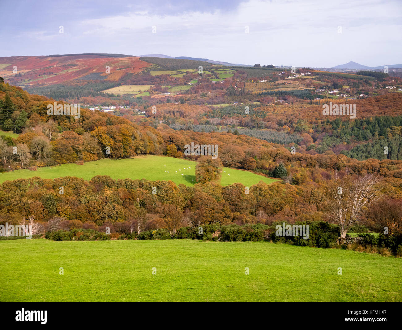 Irish heritage and history hi-res stock photography and images - Alamy