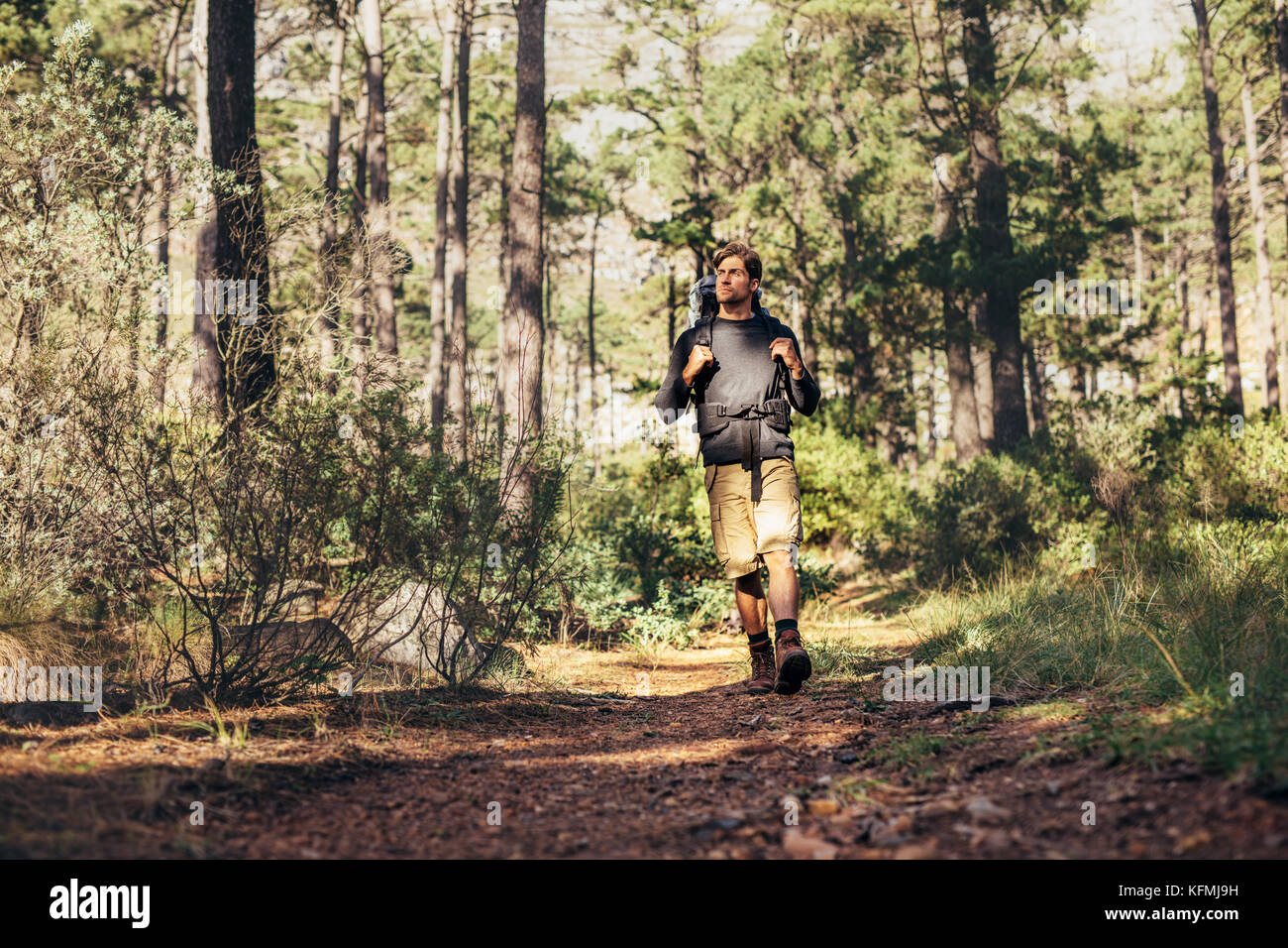 Hiker trekking on the trail in a forest. Man exploring nature walking ...
