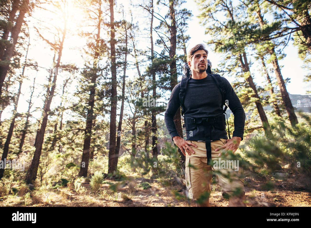 Hiker trekking on the trail in a forest. Man exploring nature walking ...