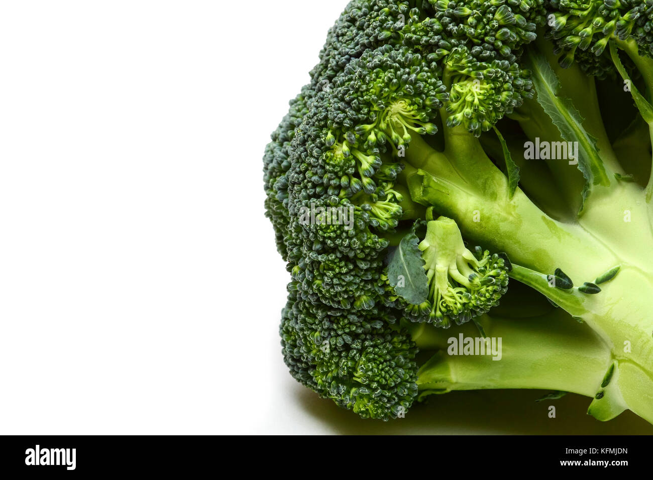 Close up of ripe organic broccoli isolated on a white background Stock ...