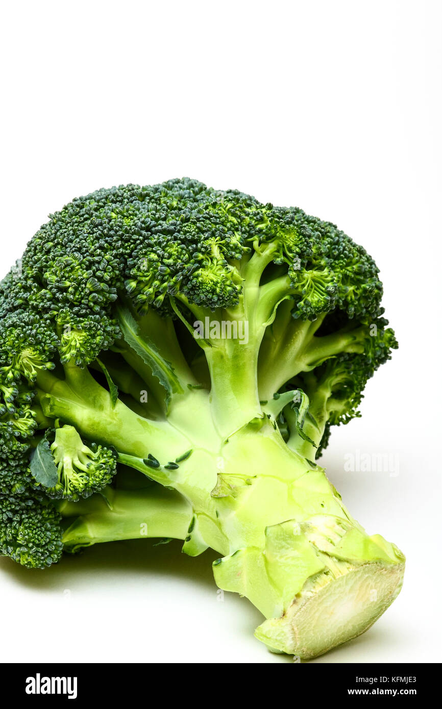 Close up of ripe organic broccoli isolated on a white background Stock ...