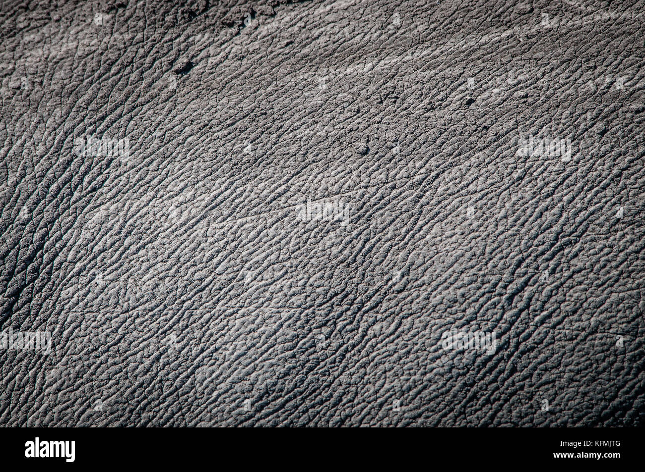 Rhino Skin Texture