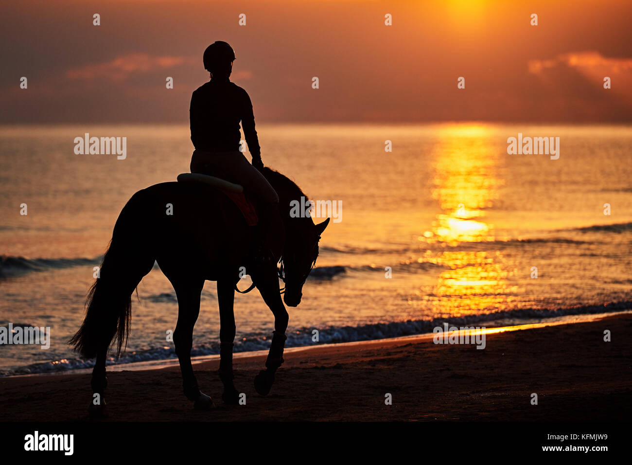 Rider exercises horse in the sea at sunrise Stock Photo - Alamy