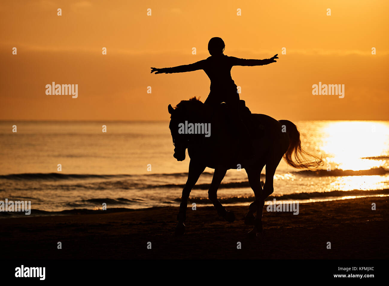Rider exercises horse in the sea at sunrise Stock Photo - Alamy