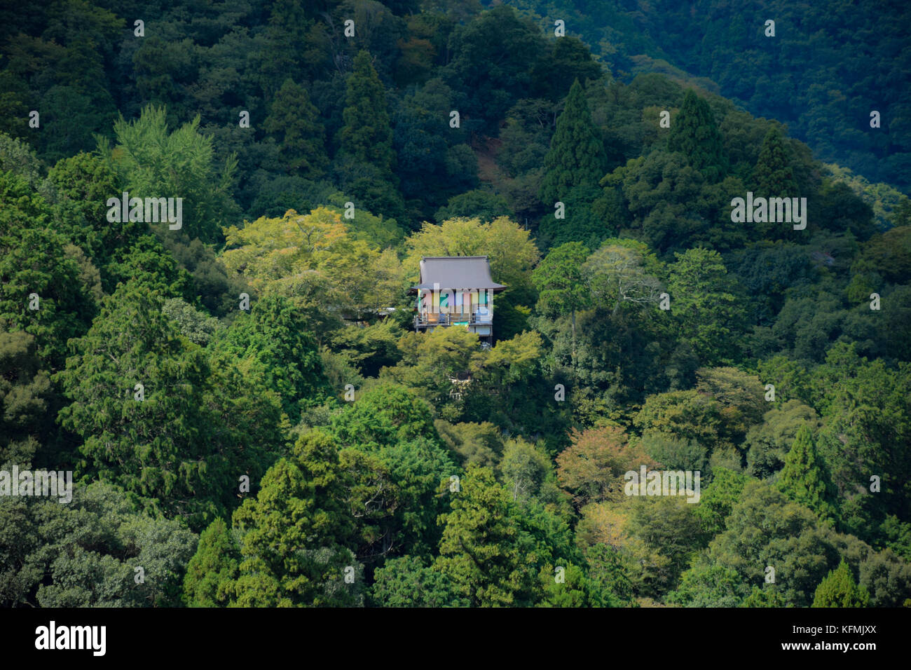 Solitude is bliss Stock Photo - Alamy