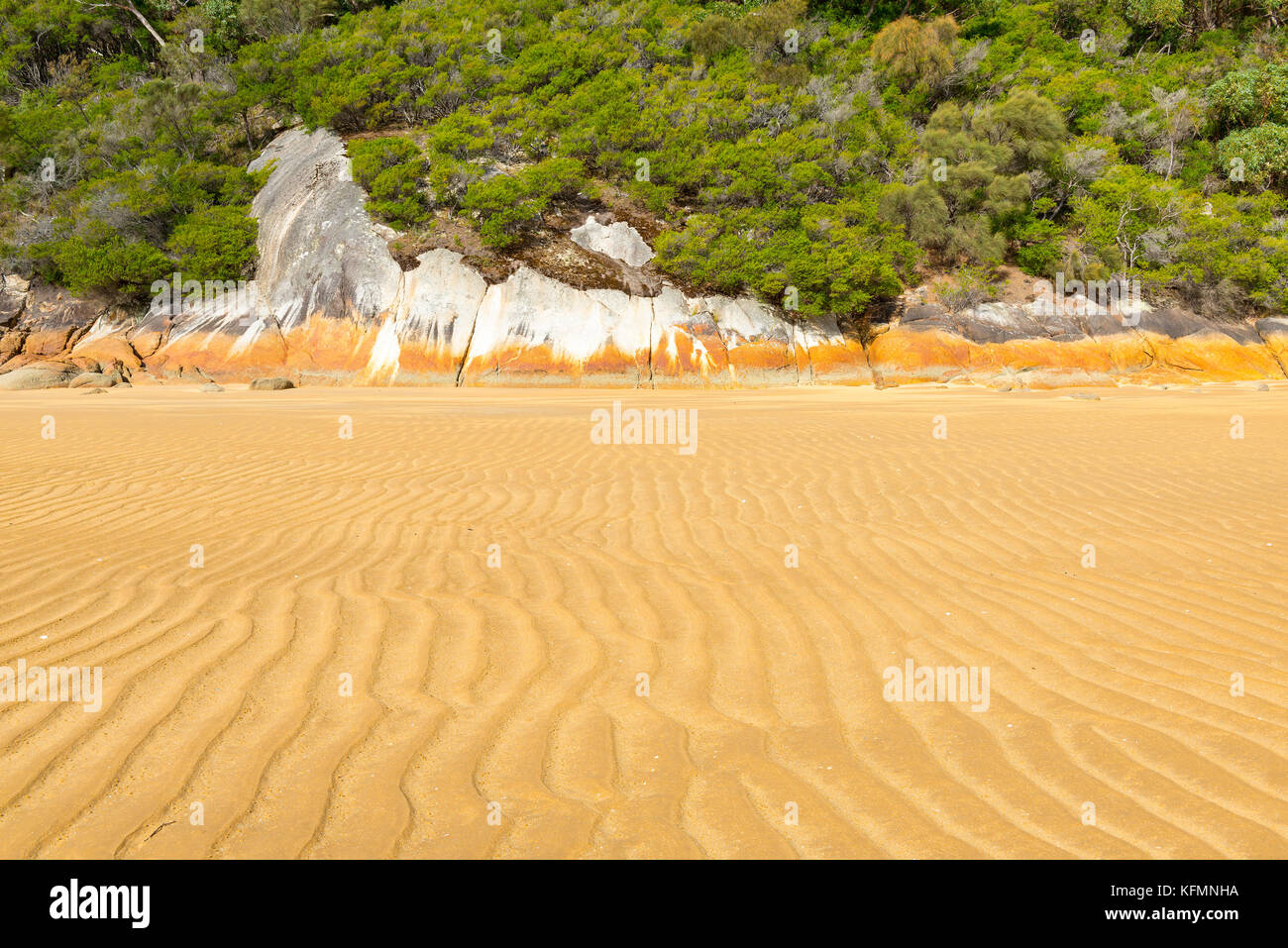 Tidal sand patterns on seashore landsacpe with boulders and forest ...
