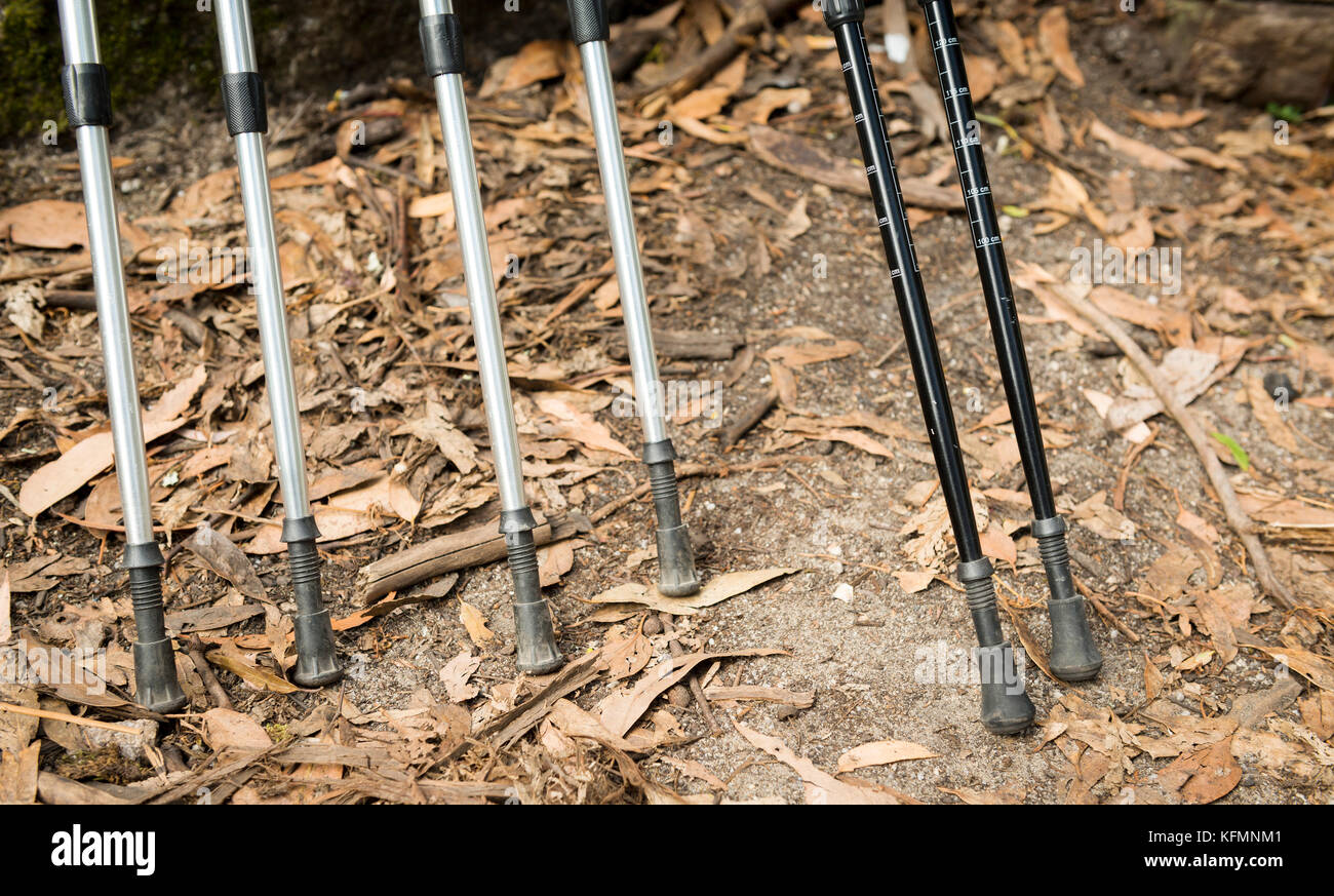 Hiking walking stick hi-res stock photography and images - Alamy
