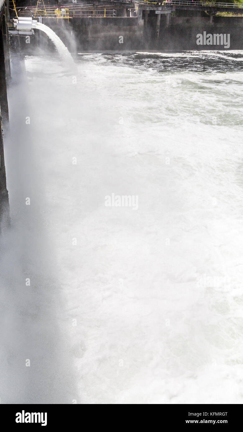 Overflow Pipes and Fish Ladder at Ballard Locks in Seattle Stock Photo ...