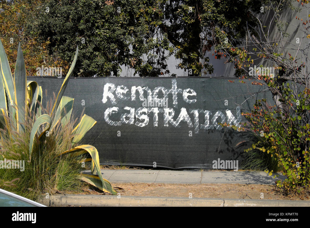 Castration hi-res stock photography and images - Alamy